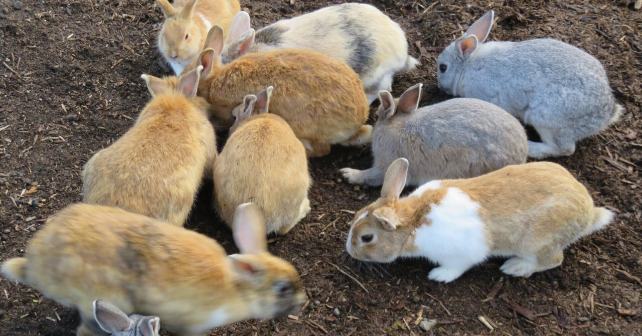 一億総恐怖症（一億総中流意識みたいな）について｜hiroki sato