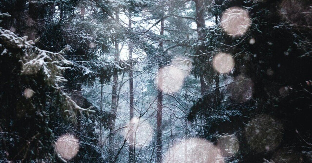 「冬の森」第12話｜Yucca