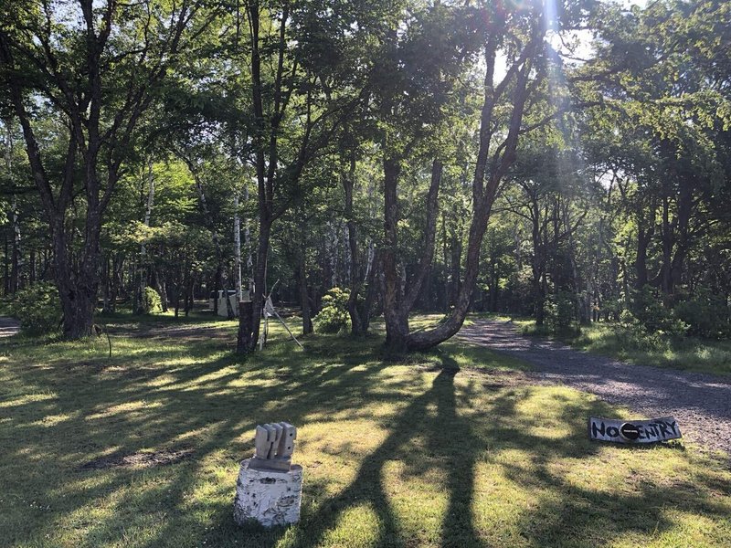 しなやかさと循環｜ReLAXIS LIFE