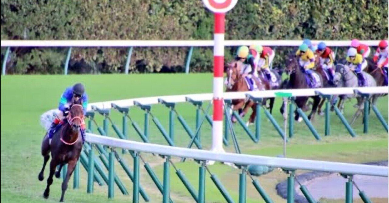 函館11r 自信度ssss｜らん【競馬予想家】