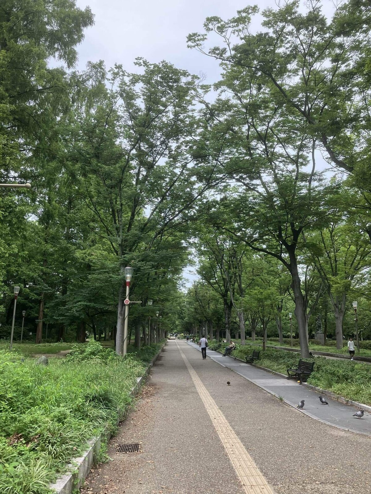 ワキタ 株主優待活用 ホテルコルディア大阪本町｜saico