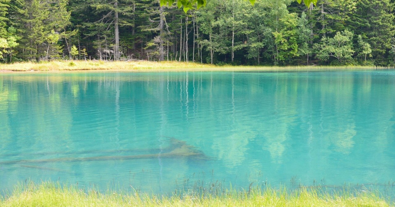 音のない城の中で②【自己愛性人格障害傾向の男と女の末路】｜iori