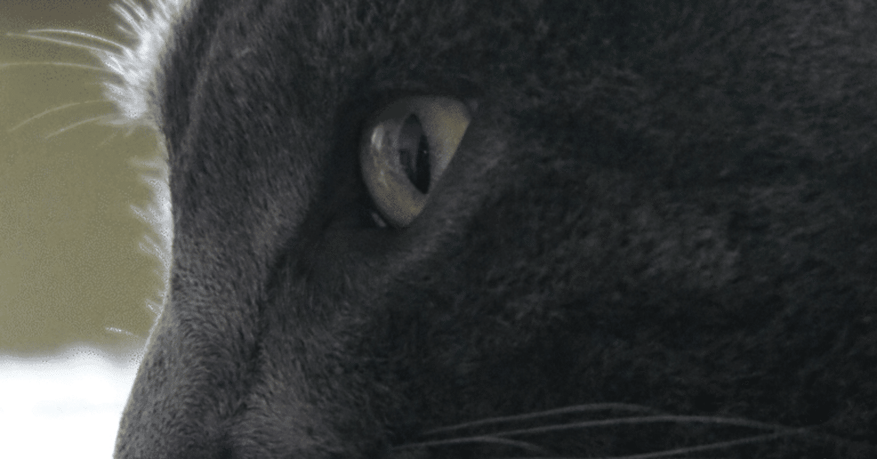 血圧・血管サポートの口コミ・効果｜Tossy（とっしー）