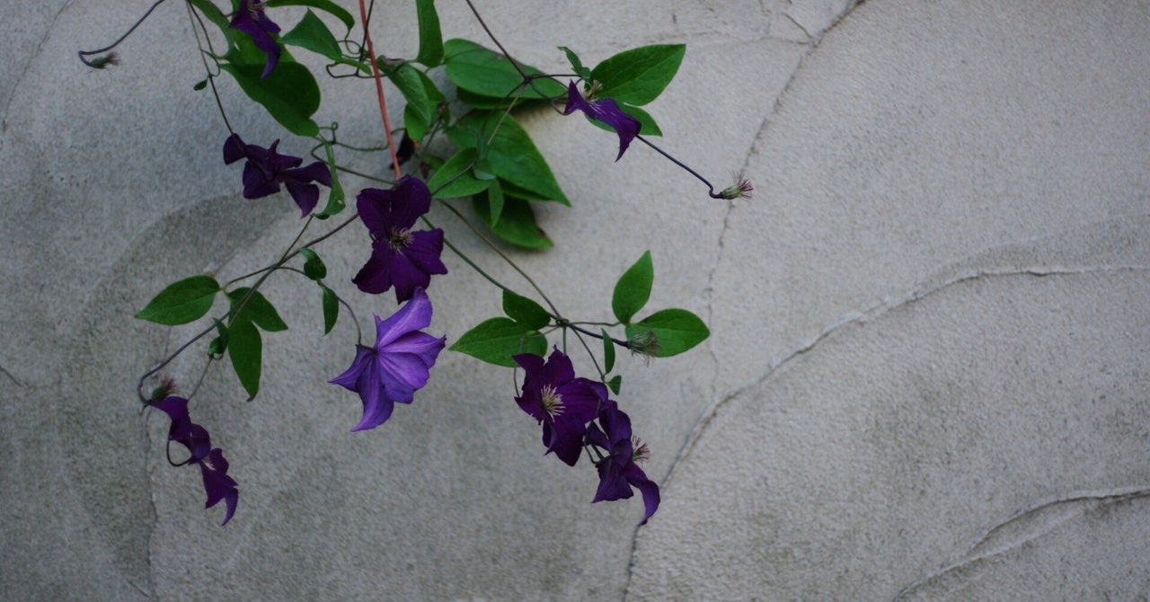 写真と日常 ＃7｜toshi