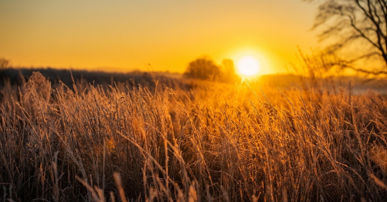 神社仏閣で参拝しても何もないが、聖書の神様に祈り求めるならば必ず助け導いてくださる、とラプトブログで知った｜ck_wakaba