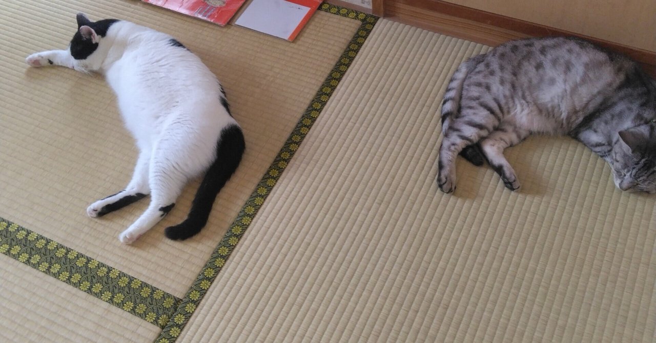 あかね空の散歩道｜yas｜note