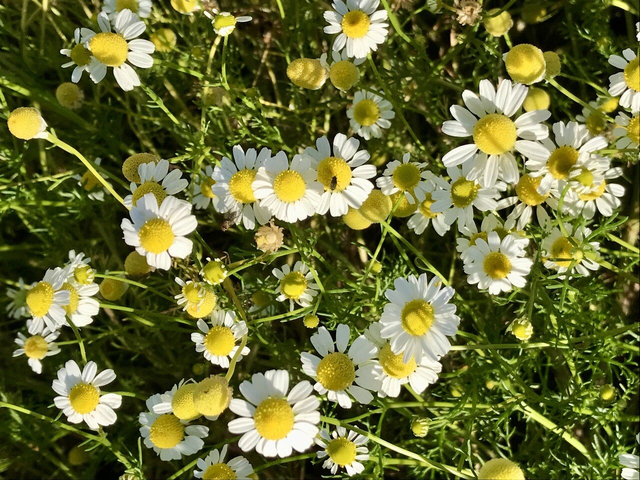 本気興奮しました！ 音が世界を創る https://youtu.be/AeUmMr4AWzk?feature=shared 音が持つ力 https://youtu.be/Uf0WUR3MhTI ...