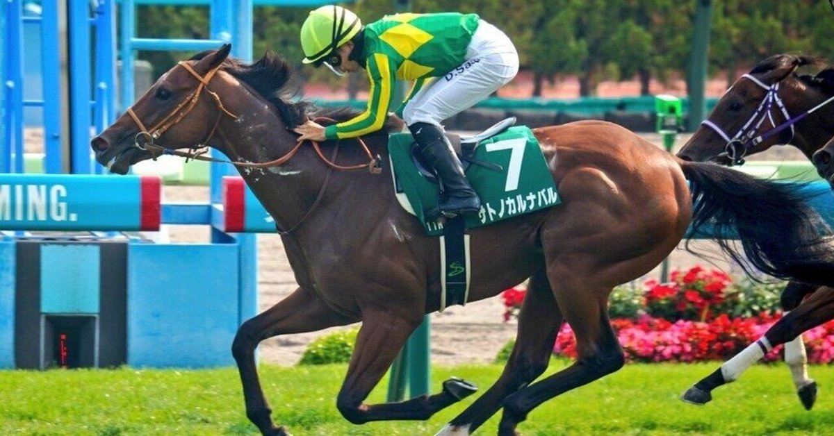 【函館2歳S（G3）回顧～その先へ】日刊コンピ篇｜Haya