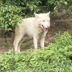 菊𝕜𝕚𝕜𝕦｜note