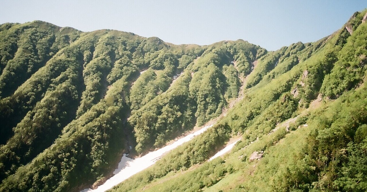 ゼロか100か50か｜Nosuke_1129894