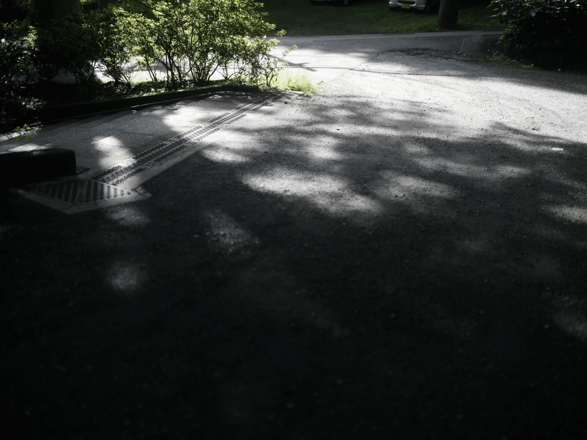 FUJIFILM GFX｜shirasu camera