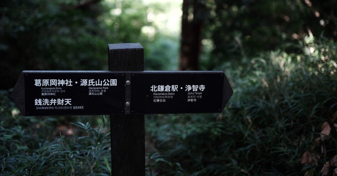 FUJIFILM GFX｜shirasu camera