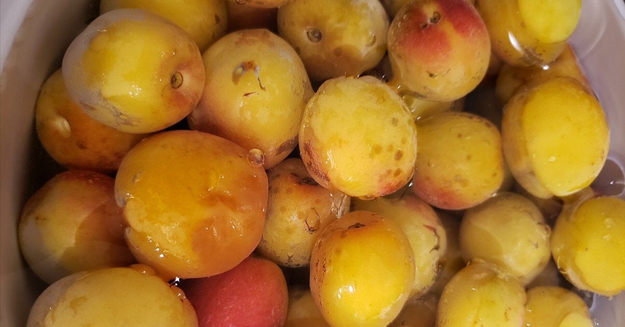 OtsukaYosuke 大塚陽介｜note