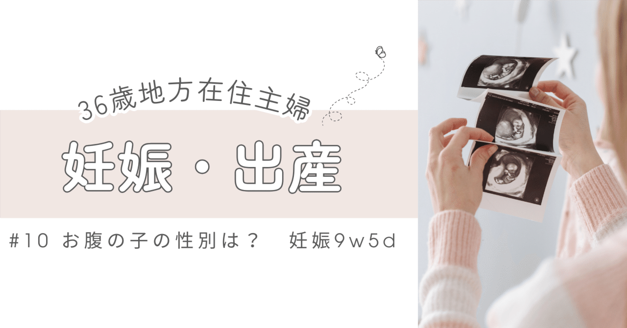 #10 お腹の子の性別は？ 妊娠9w5d｜かわみ