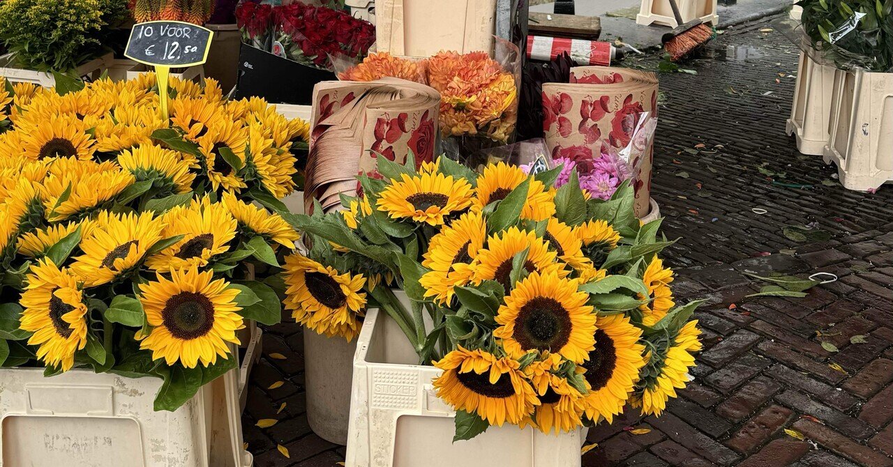 【24歳ワーホリ】自分軸について考えてみた｜itsuki ｜24歳オランダワーホリ🇳🇱