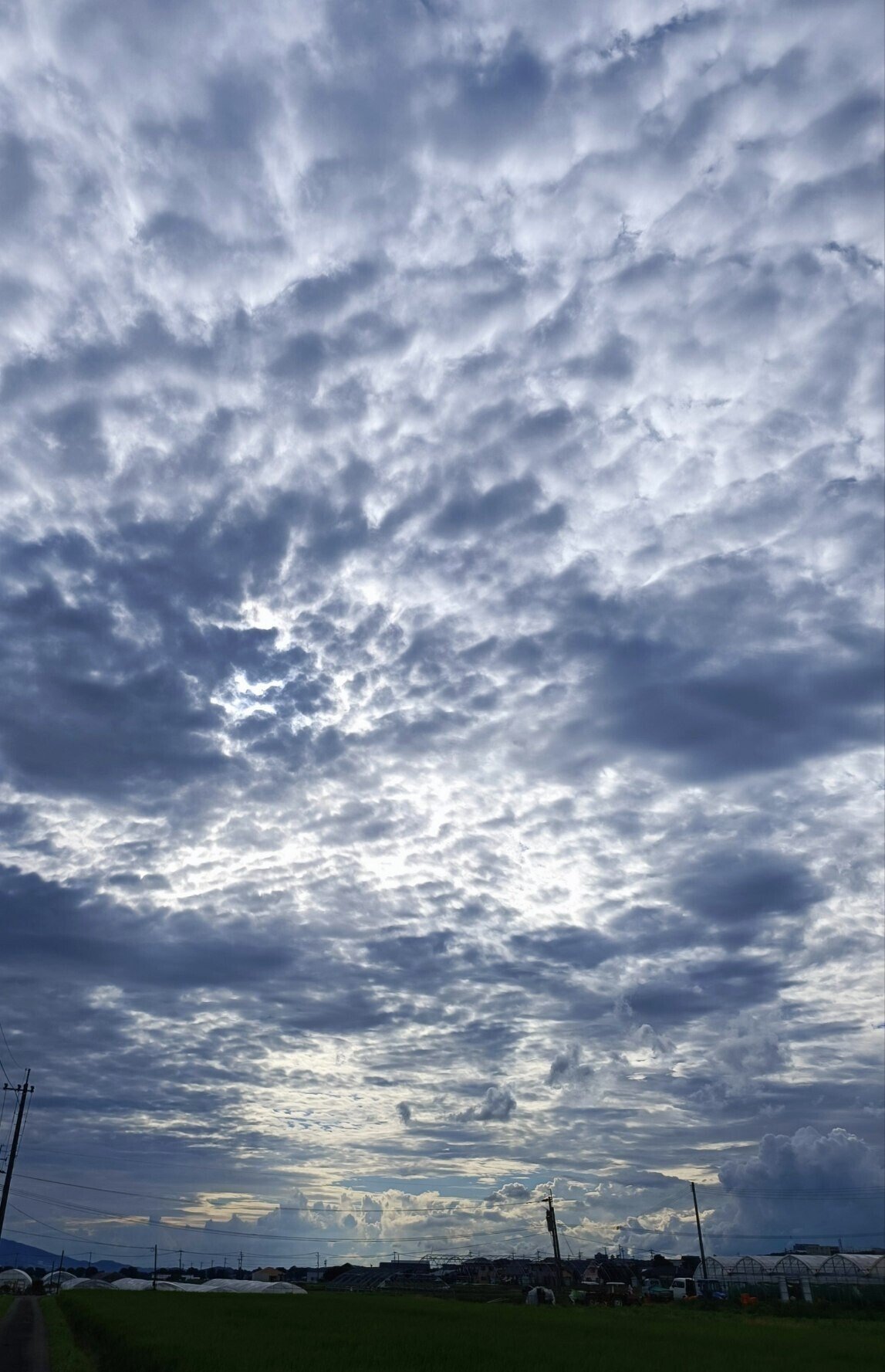 雲、満ちて｜sora_purecolor