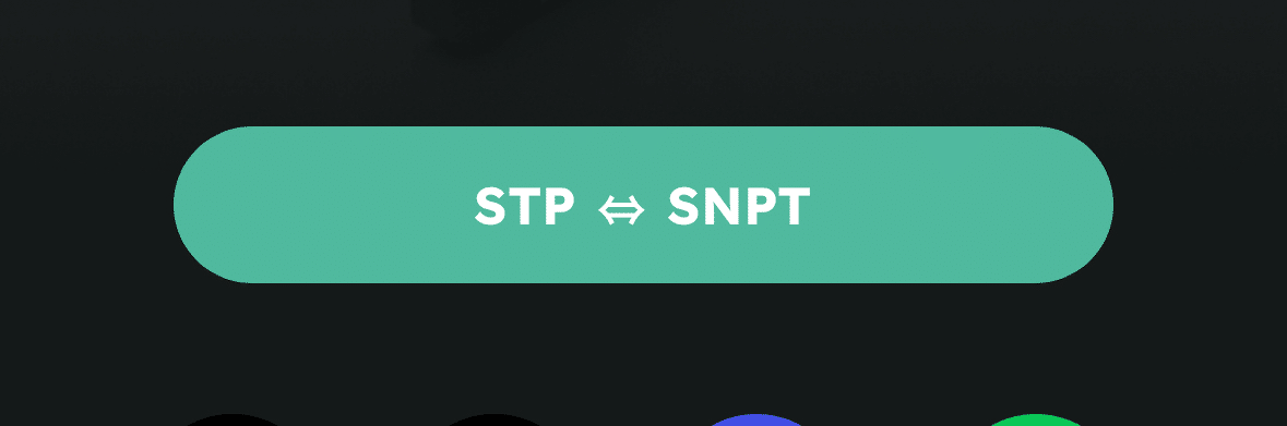 Snpitのstp⇄snptの交換方法｜軽井沢ハジメ