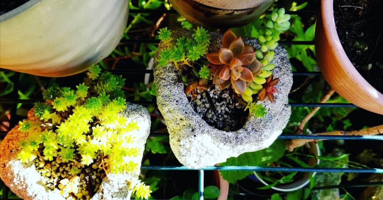 めんどうなのでほっておく｜mayamoon