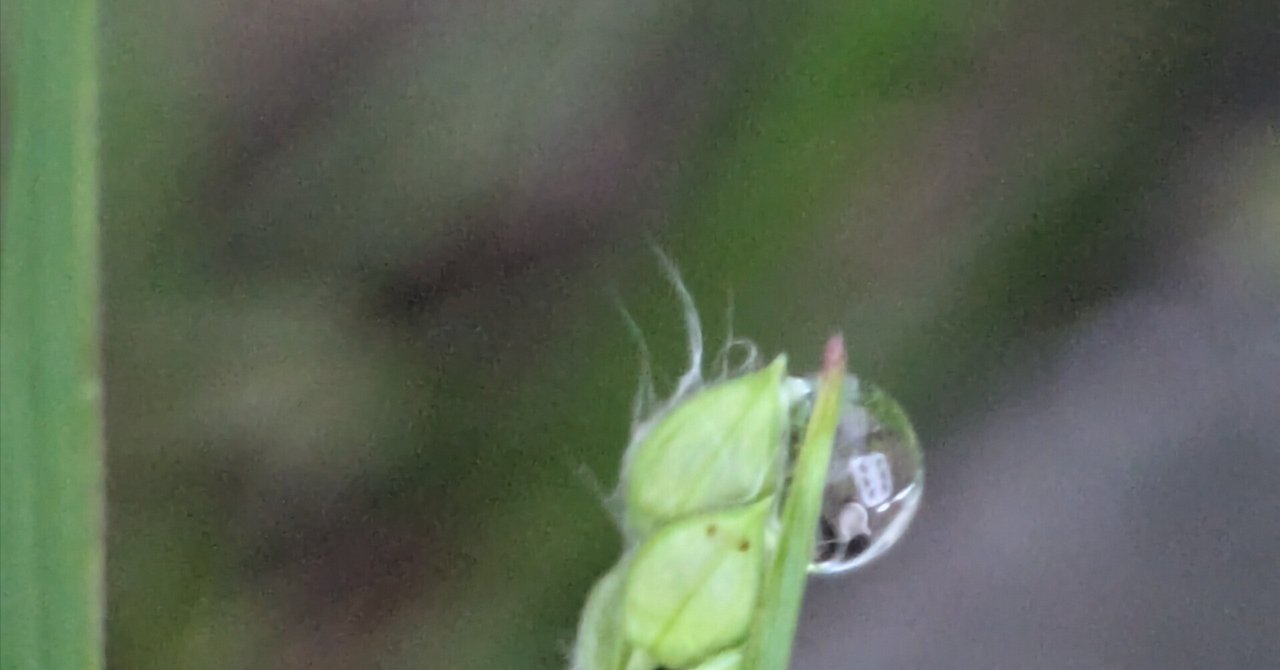 泣いたり笑ったりのショート動画｜ichiro70