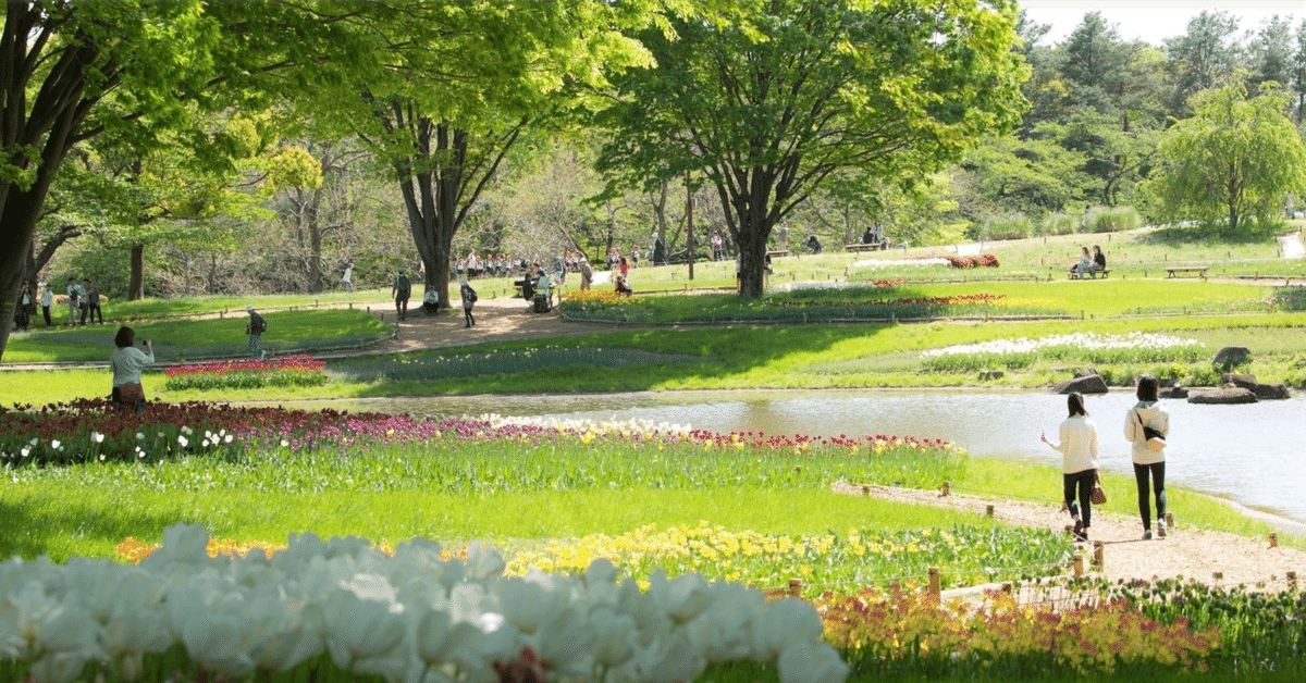 【2025年最新】DINKSの現状と課題｜No.1