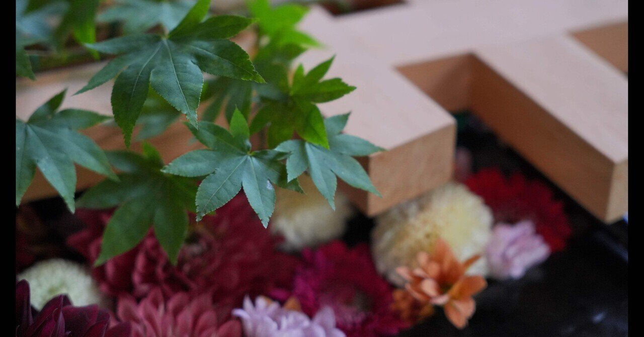 【毎週恒例】感謝のお知らせ🎊&今週の投稿予定 &最近の写真📸｜ひまじん33ごう🐹|十勝のnoter