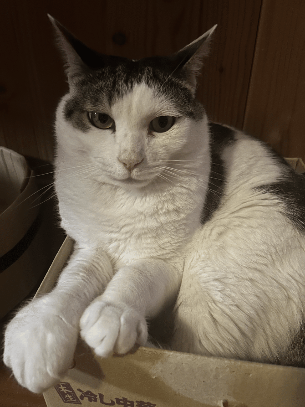 myuuu_2@みゅ｜note