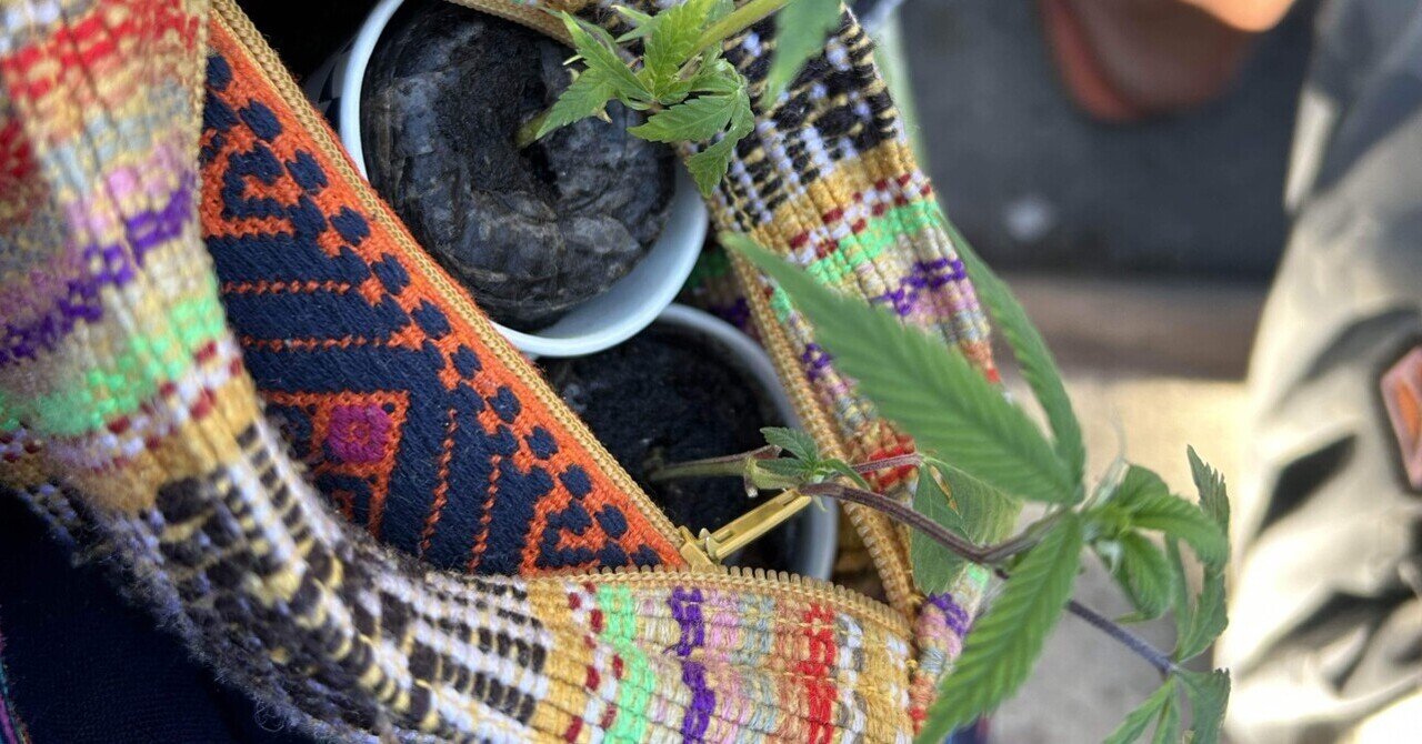 July 1st 🌱カナダデー｜Riho