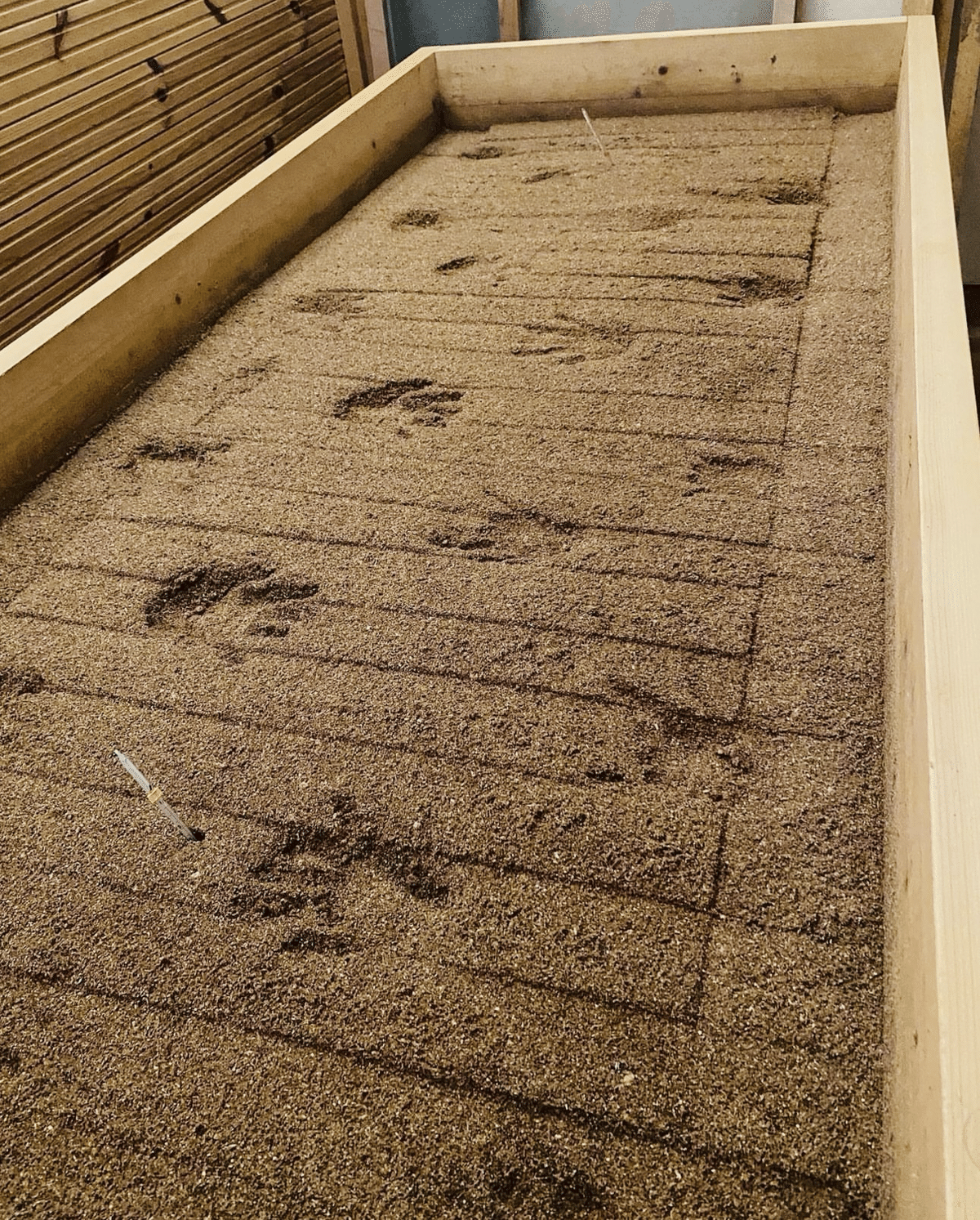 酵素風呂｜和田侑也／yuya wada