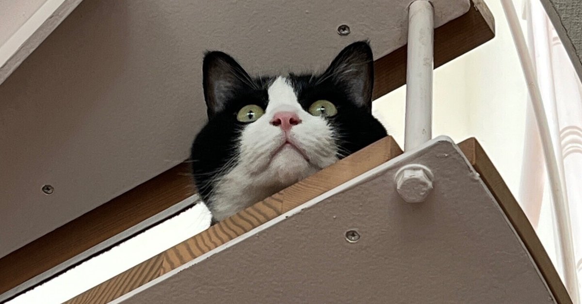 自己紹介&初めてのnote｜arata mori