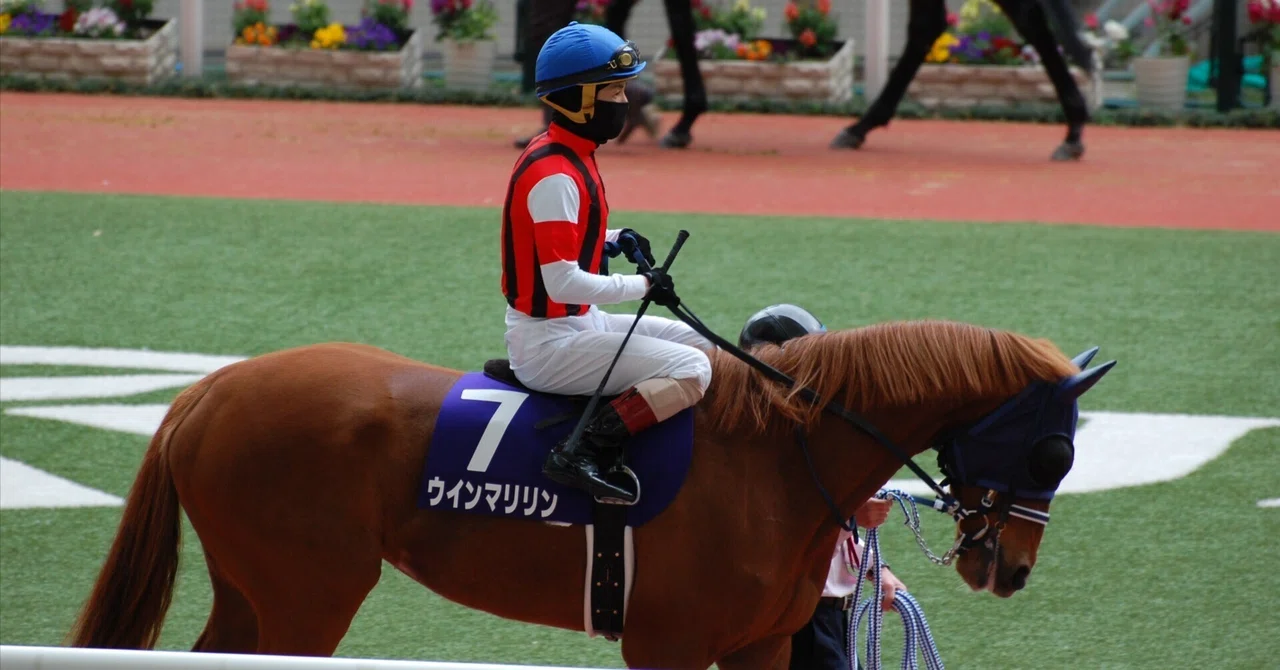 ウインレーシングクラブ2024募集馬(2023年産)AI馬体診断｜Koji Maeda