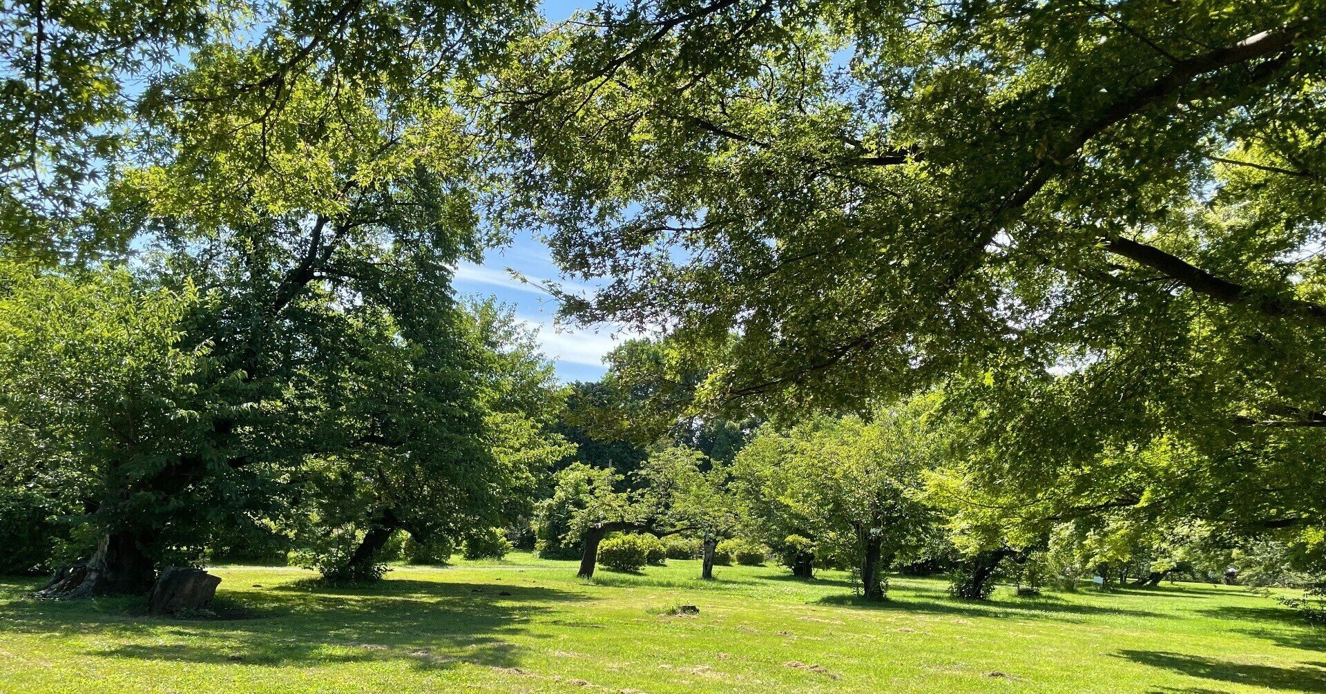 Kaoru_reviews｜note