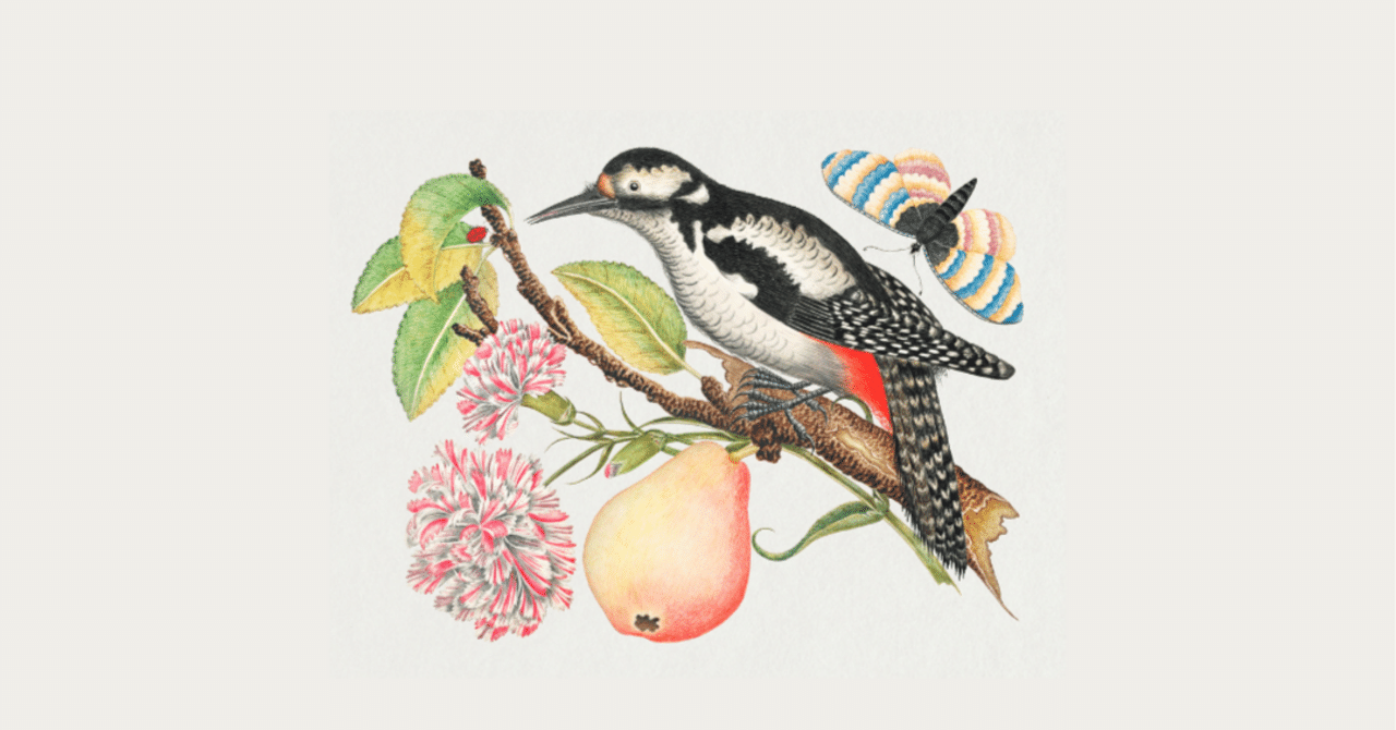 メディテーションボディワークご感想 vol.5｜kyna miwako