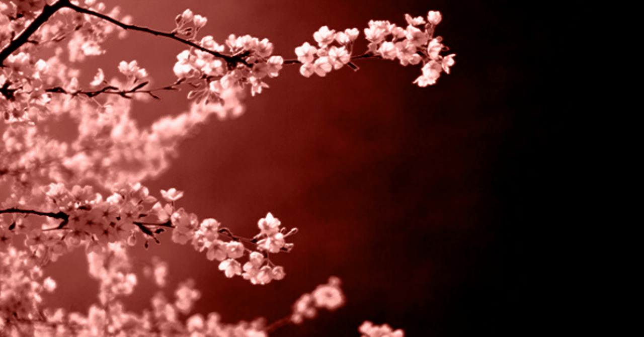 ご無沙汰しております。。。｜Momoka