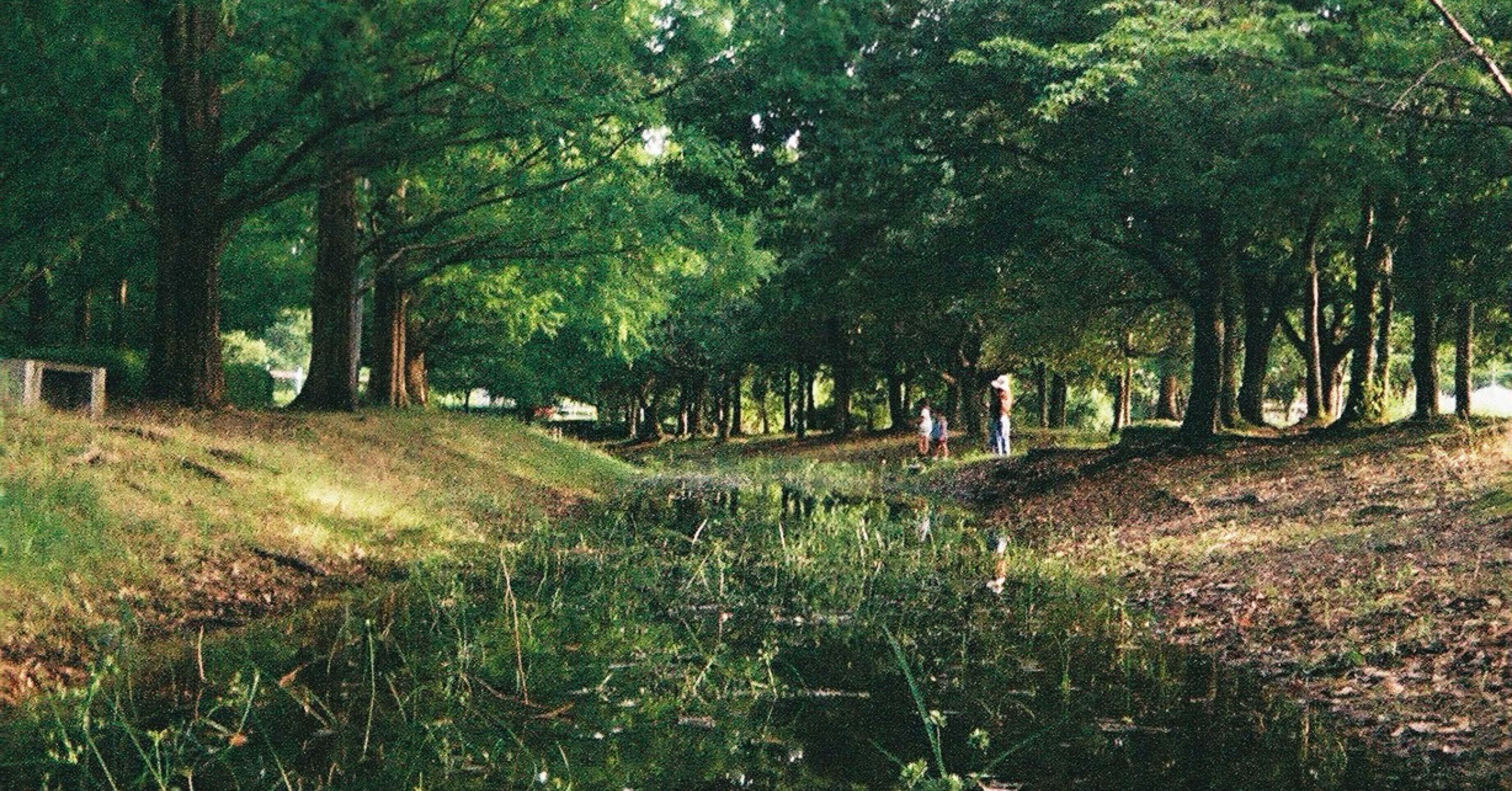 Shogo Hagiwara｜note