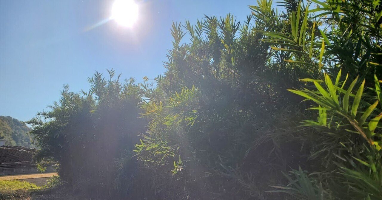 UNWIND&KOMOREBI｜note