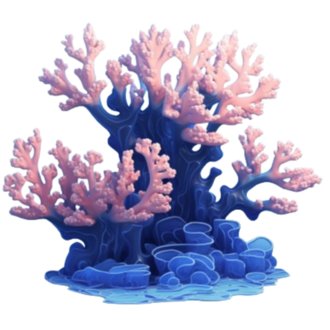 Coral Servers｜note