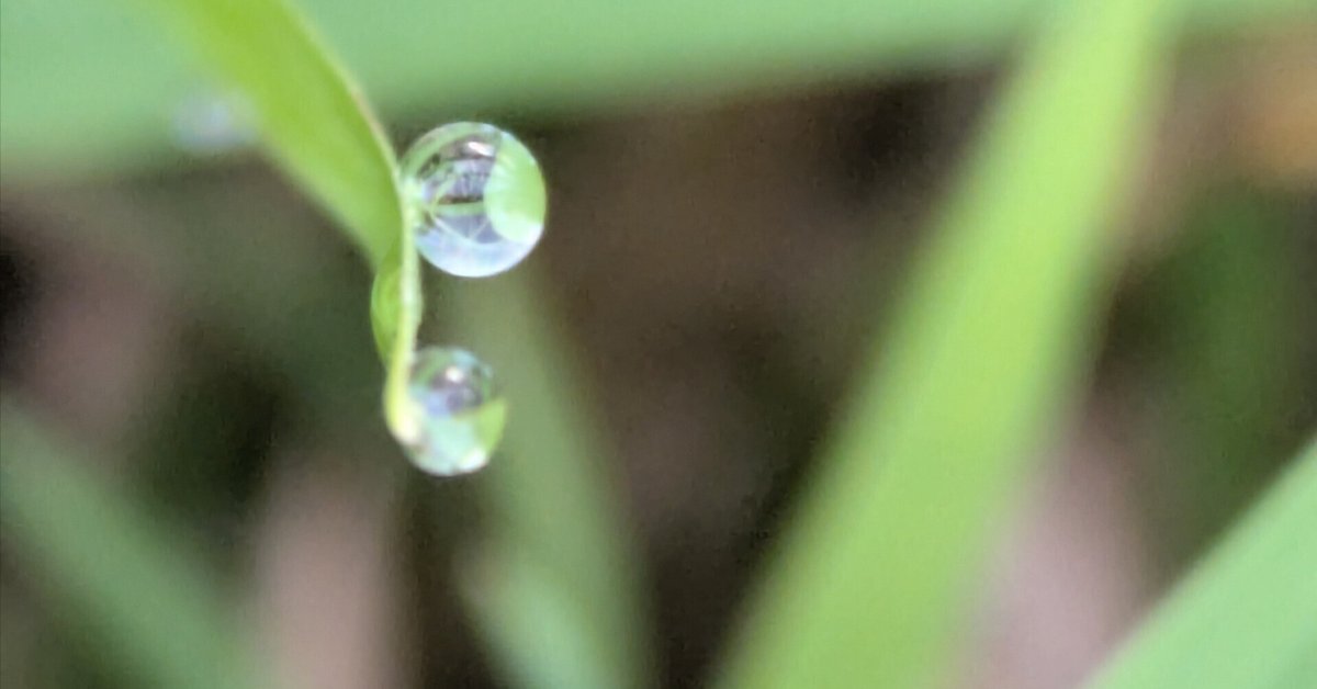 泣いたり笑ったりのショート動画｜ichiro70