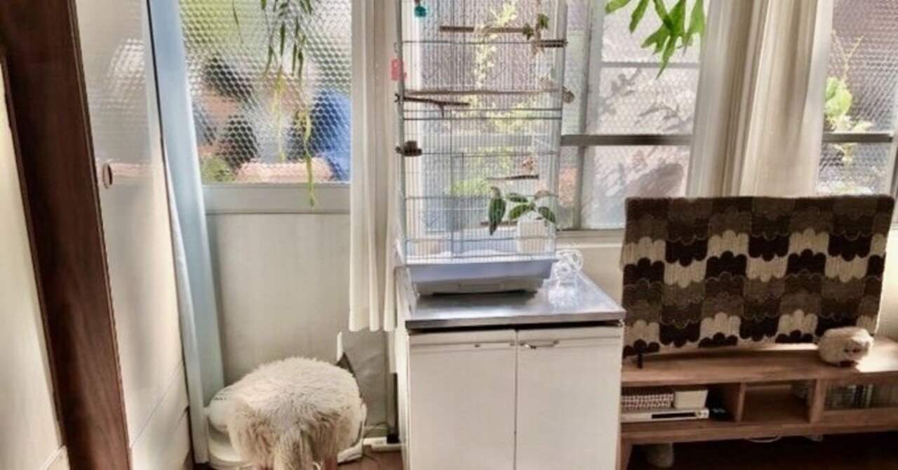 つくり話のように思い出す （秋）｜corosuke