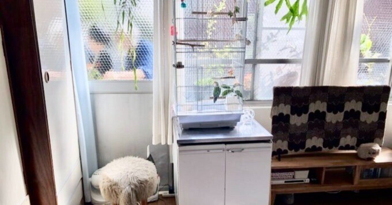 つくり話のようの思い出す （夏）｜corosuke