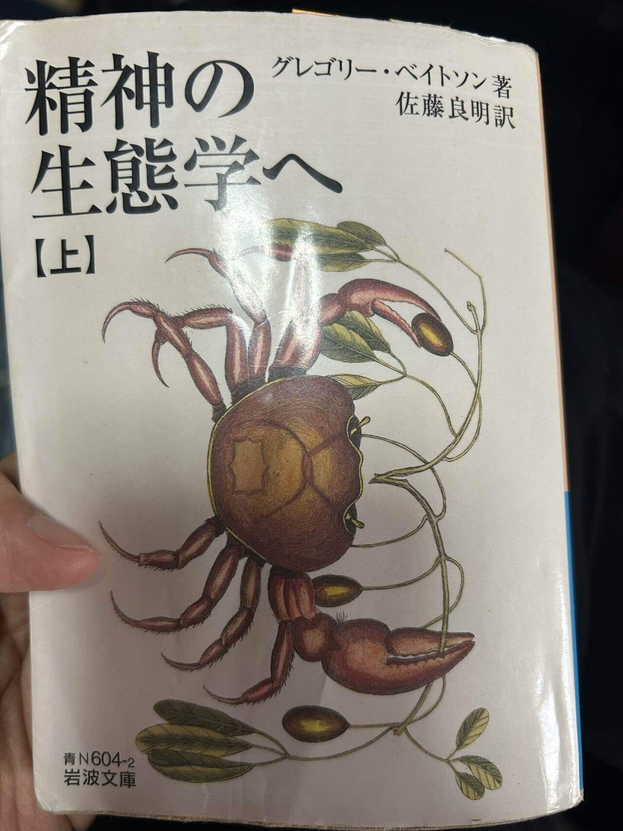 p200.研究者が自分の意で出した見方でしかない。その研究が認められようとも自らや他者の意見も絶対ではない、ただの一部ってことかと。多分。書き ...