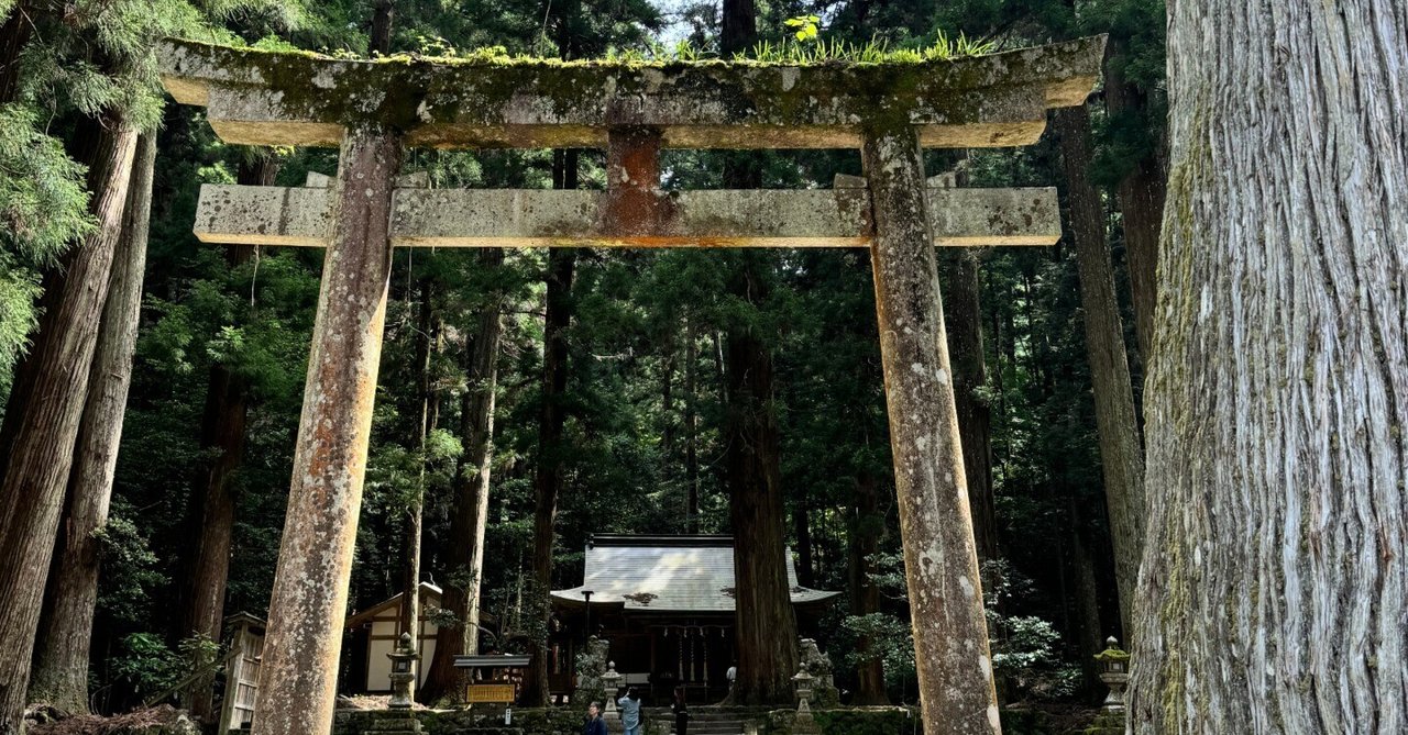 あなたの龍と繋がり、一緒に日本を変えてみませんか？｜Sydney Kaoru