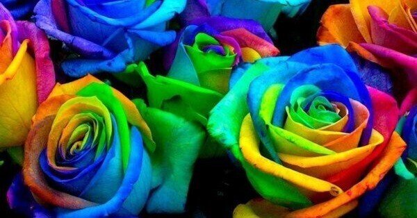 ayako_ドイツワーホリ｜note