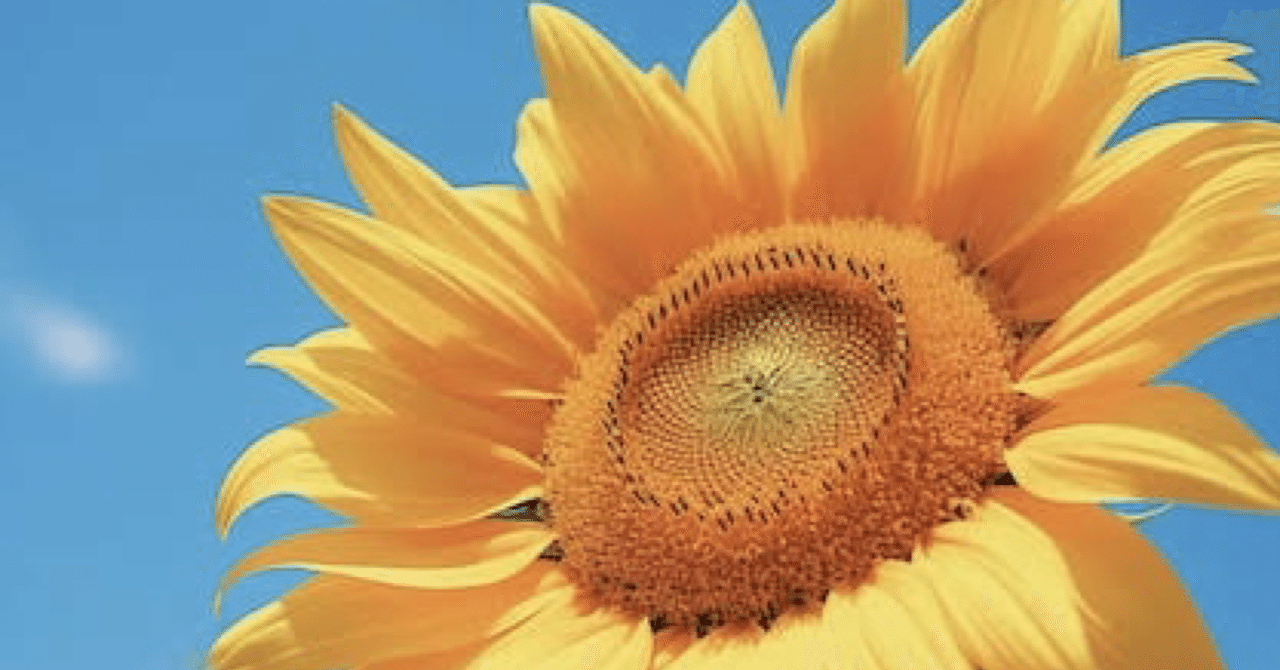 【HSP】HSPの成長ステージ｜miria-e/ツインレイとHSP/🇯🇵×🇩🇪