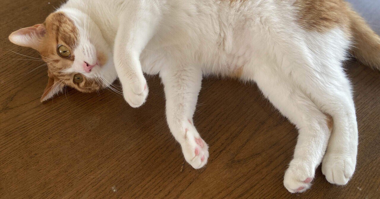 日記:2024/07/21｜mutaro