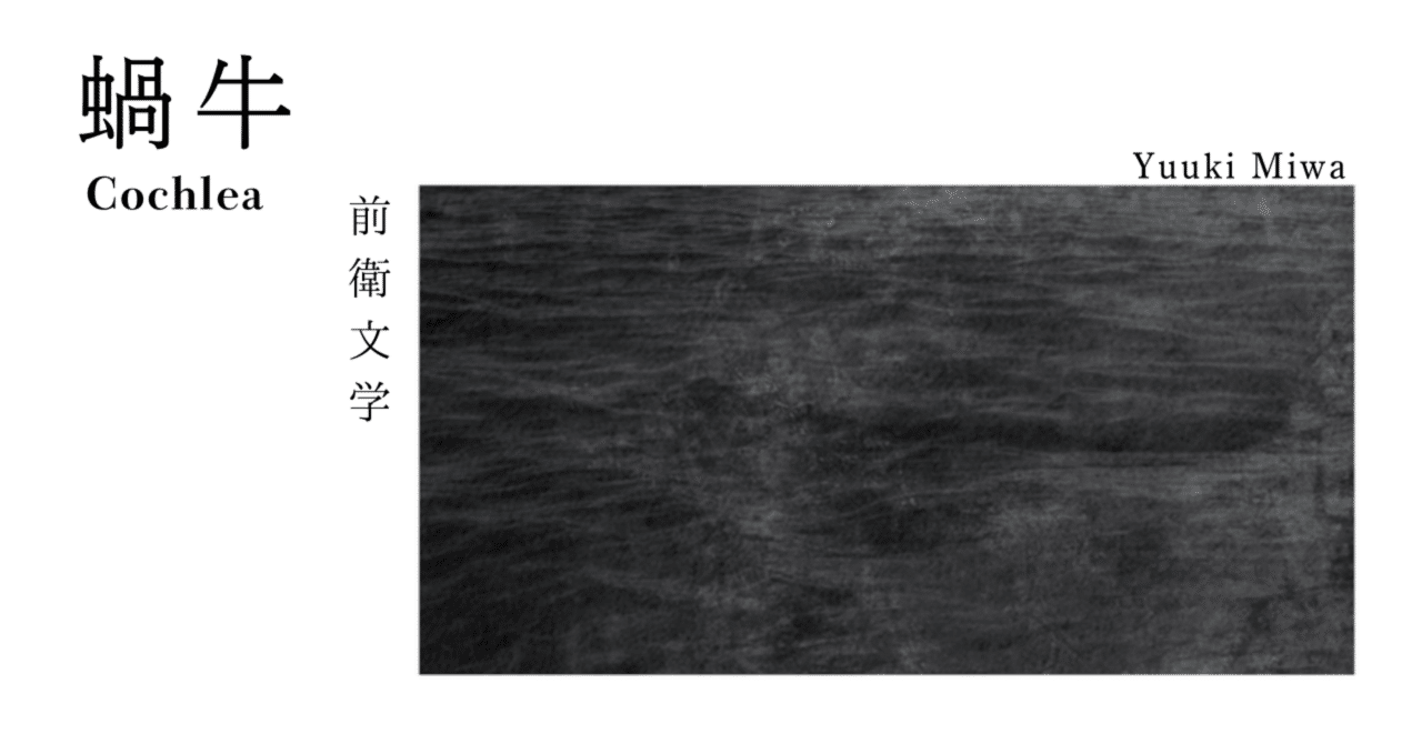 【前衛小説】 蝸牛 Cochlea 003｜Yuuki Miwa
