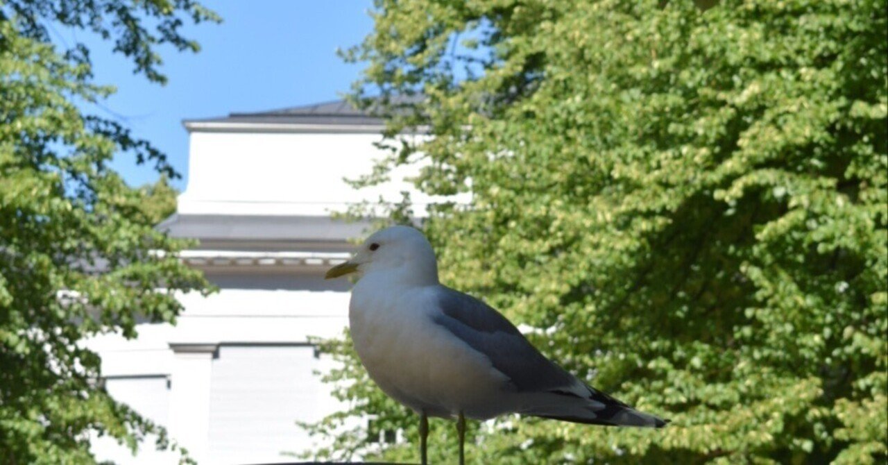 スポンジ｜moco : )