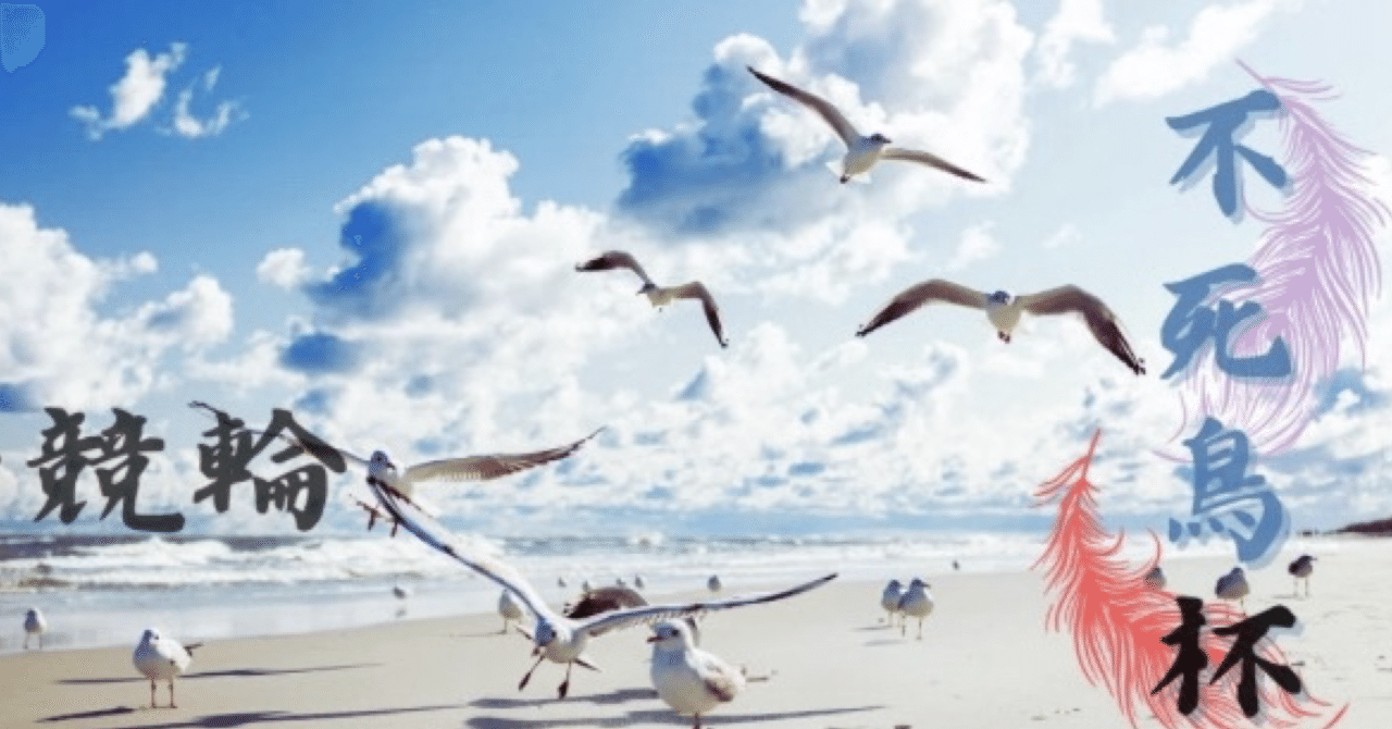 🧡福井5R12:35🧡｜玲藍