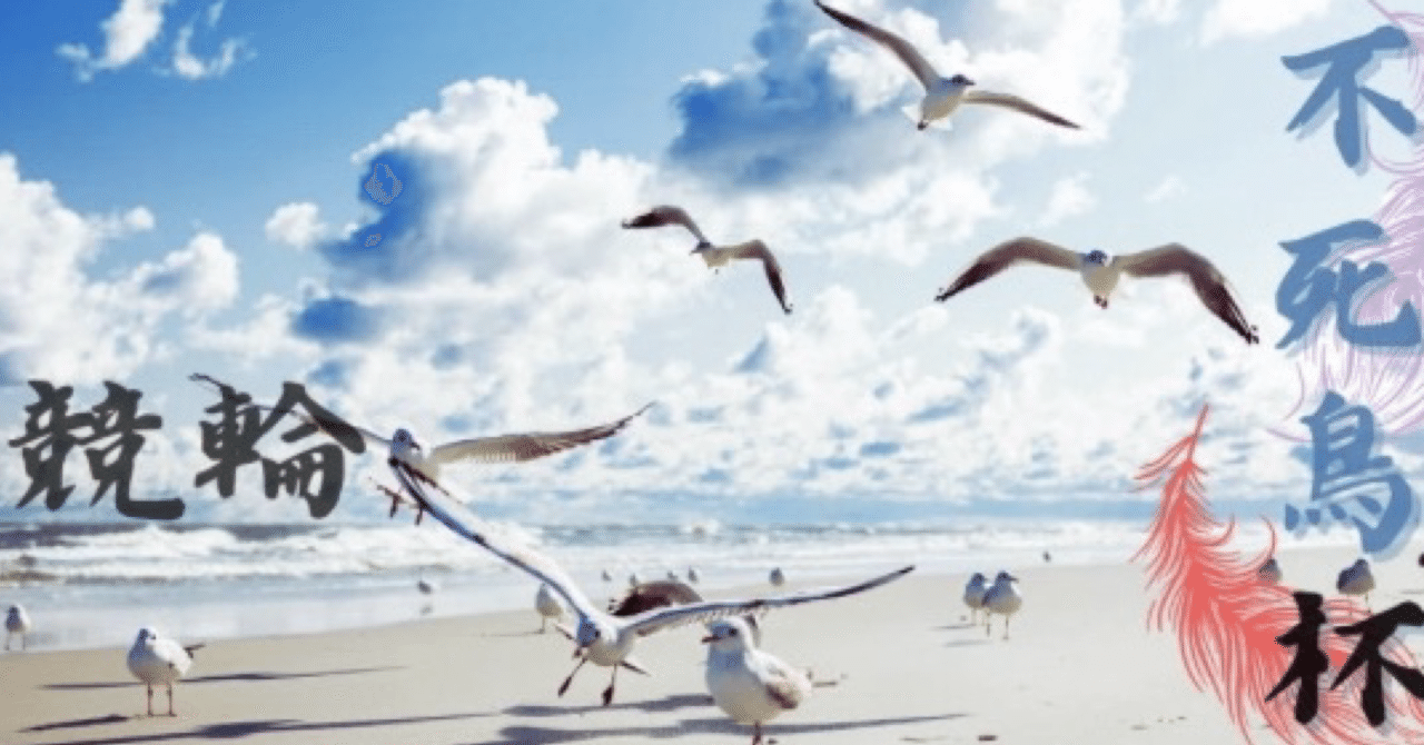 🧡福井8R14:05🧡｜玲藍