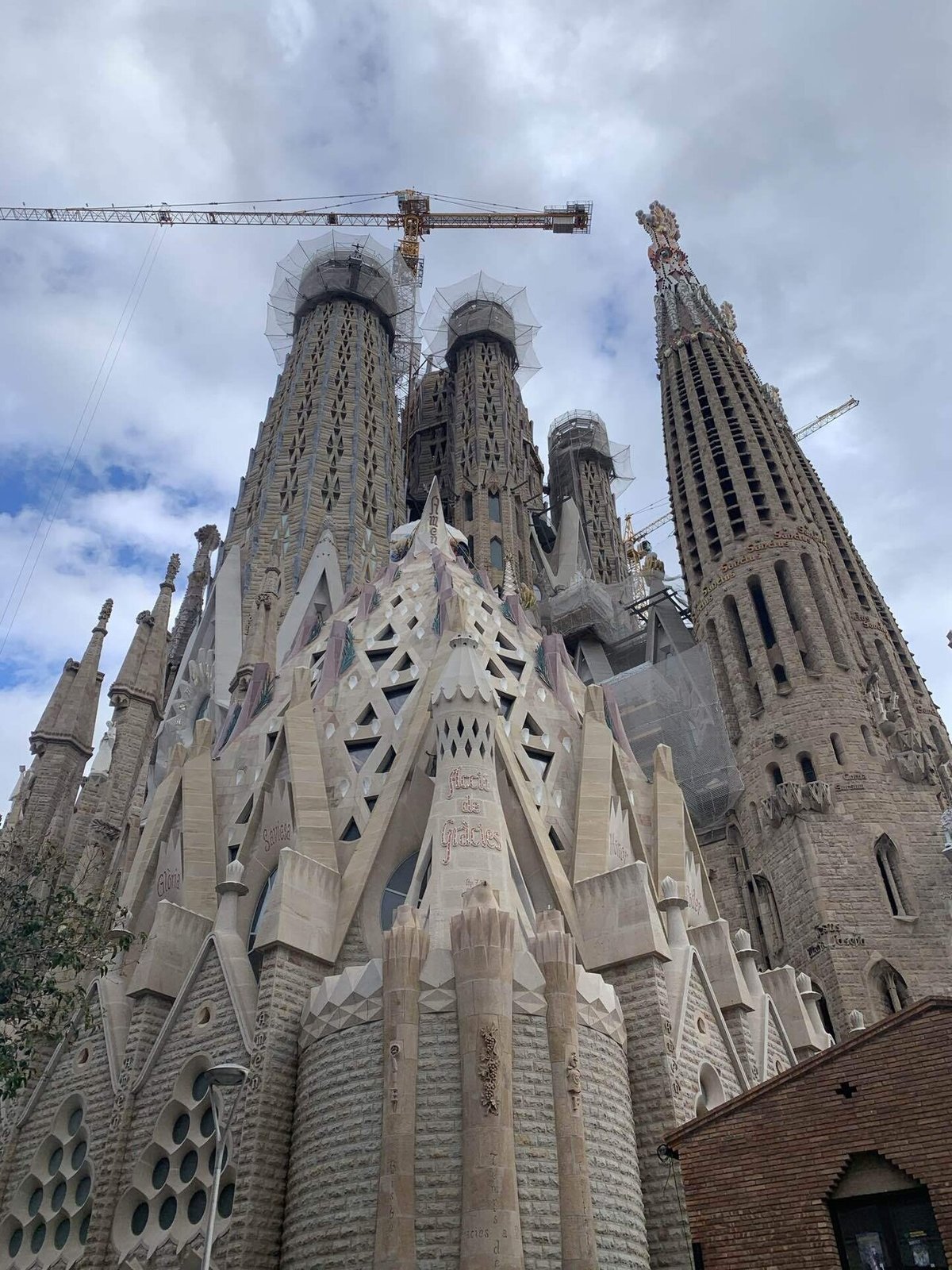 Sagrada Familia｜Satoru Suzuki