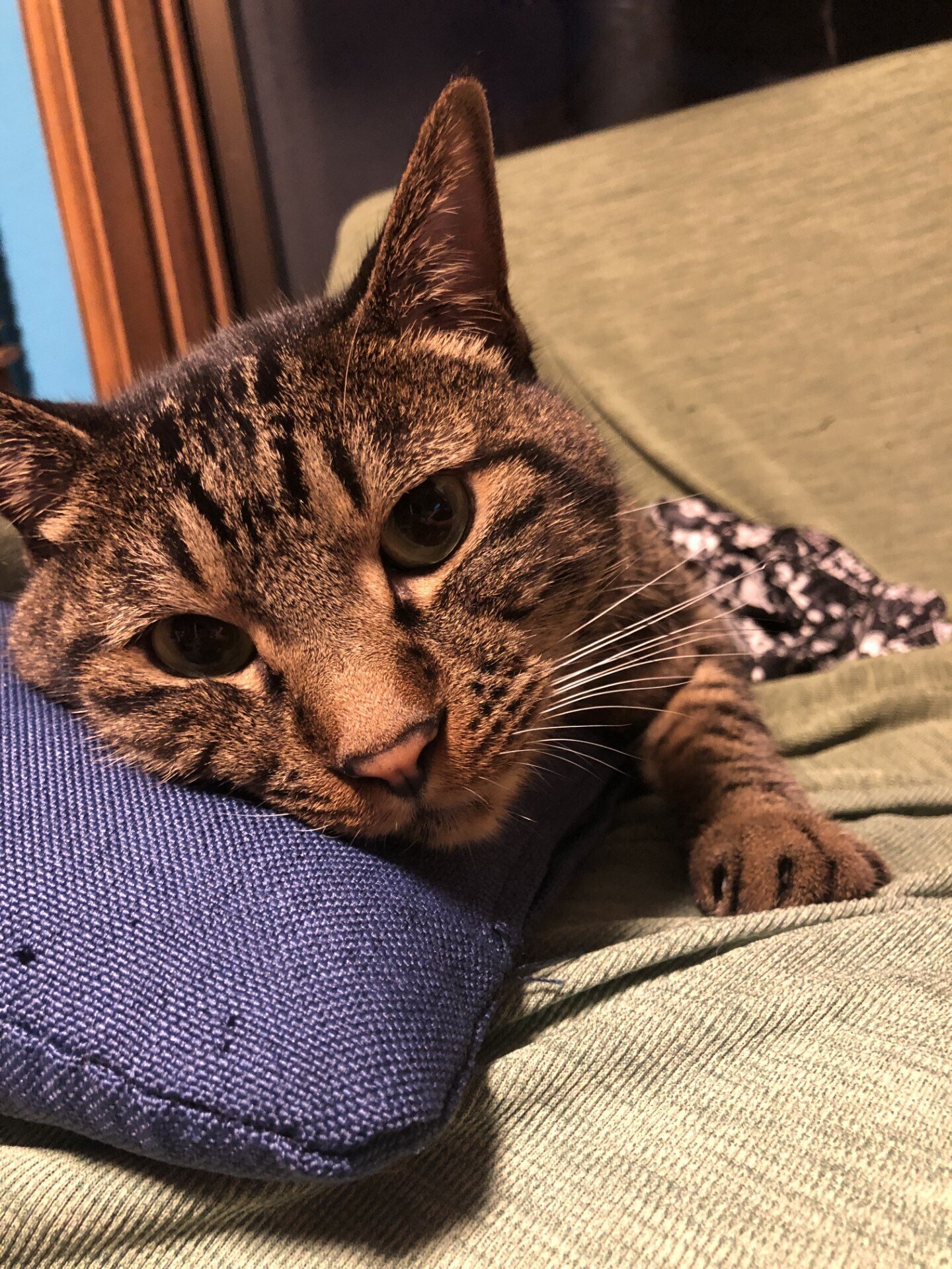 Sorajiro_no_natu｜NOMARS